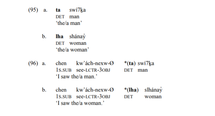 Determiner Phrase – INLP Linguistic Glossary
