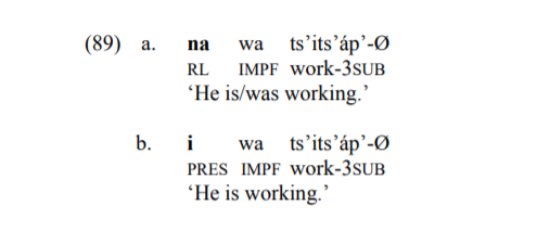 Auxiliary – INLP Linguistic Glossary