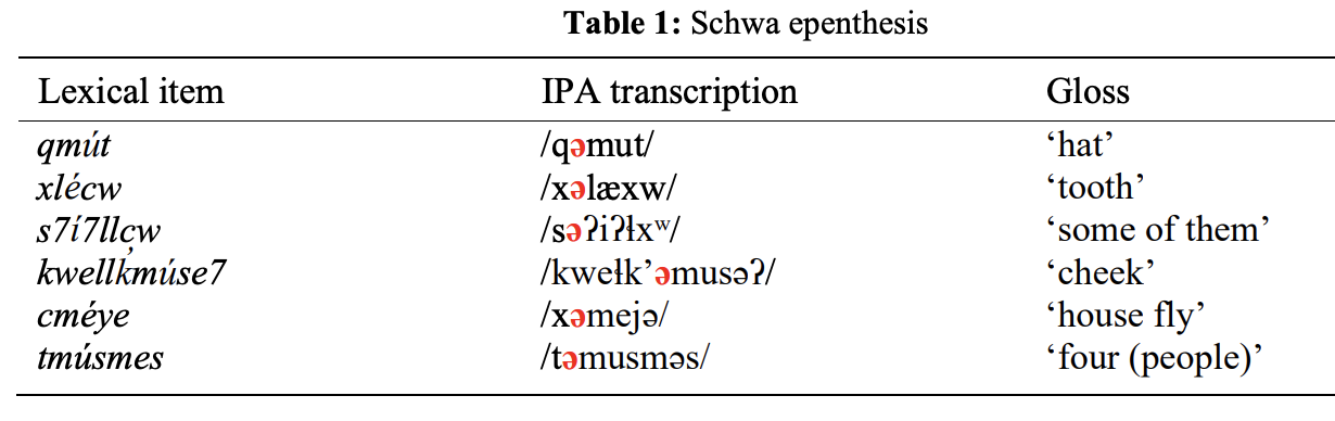 Epenthesis – INLP Linguistic Glossary