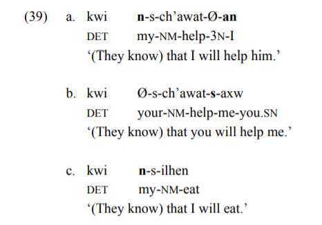 Nominalized Clause – INLP Linguistic Glossary
