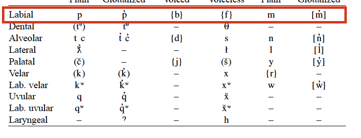 Labial – INLP Linguistic Glossary