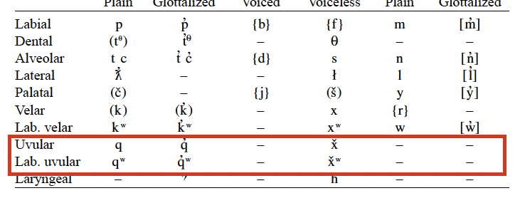 Uvular – INLP Linguistic Glossary