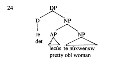 Root Node – INLP Linguistic Glossary