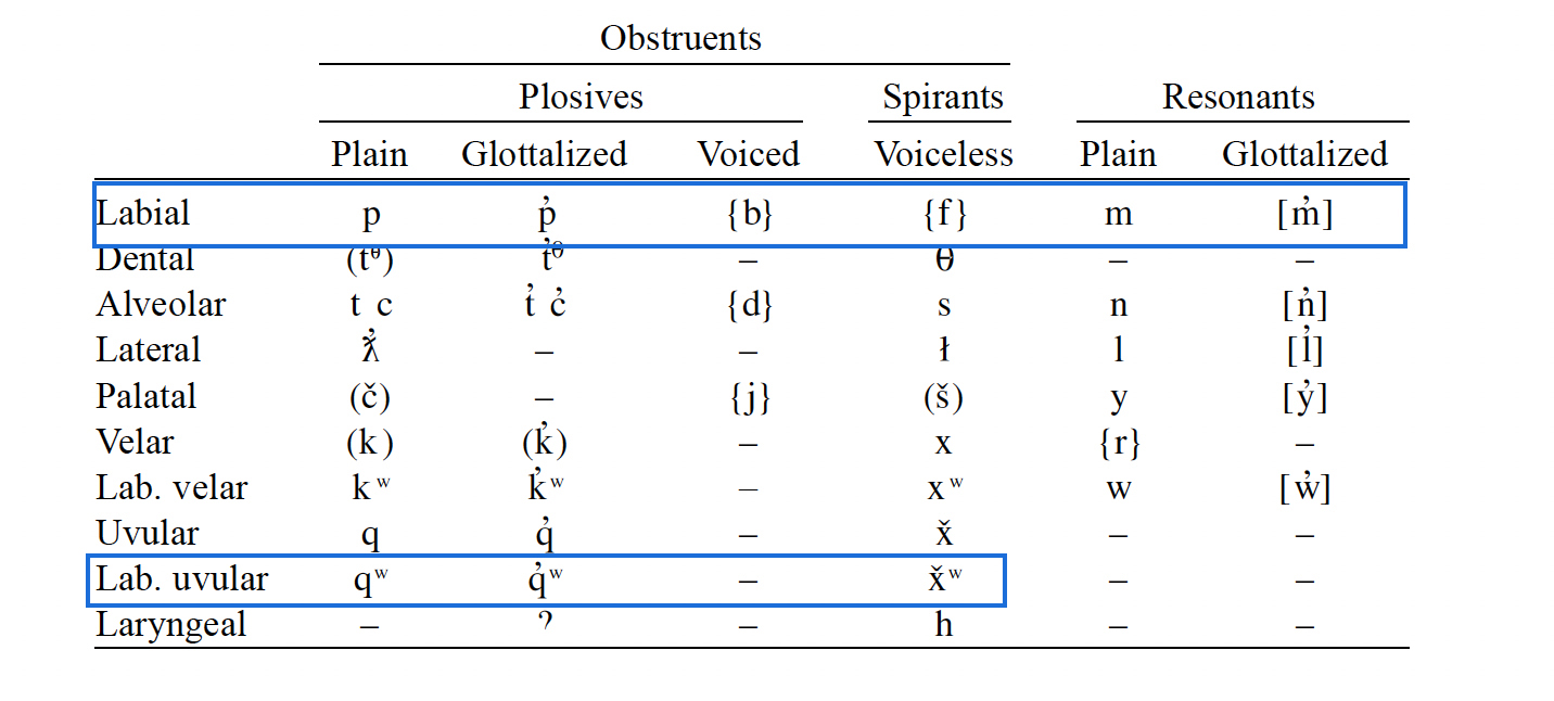 [labial] – INLP Linguistic Glossary