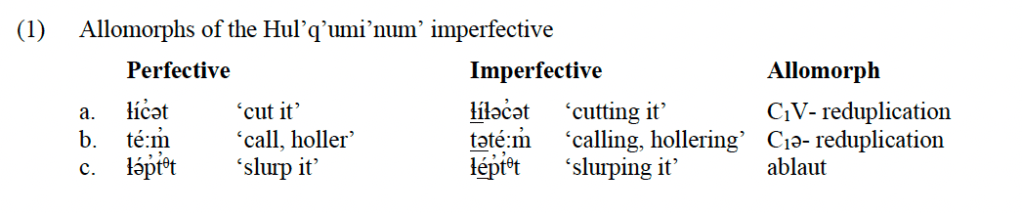 Allomorph – INLP Linguistic Glossary