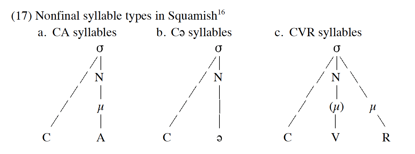 Weight Sensitivity or Syllable Weight – INLP Linguistic Glossary