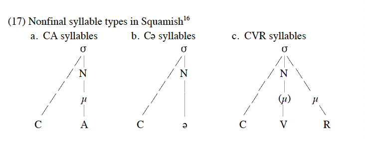 Heavy versus Light Syllable – INLP Linguistic Glossary