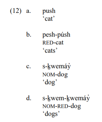 Base – INLP Linguistic Glossary