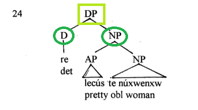 Daughter – INLP Linguistic Glossary